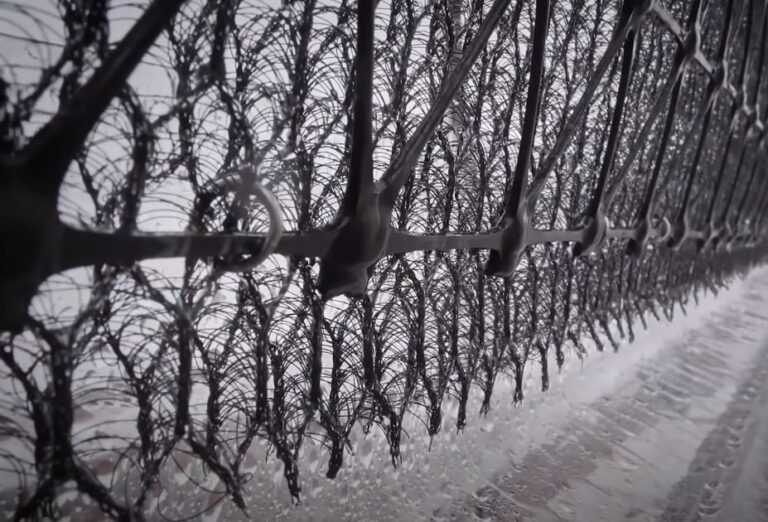 Fog Harvesting - Why Is It Important and How to Pull it off - Climate ...