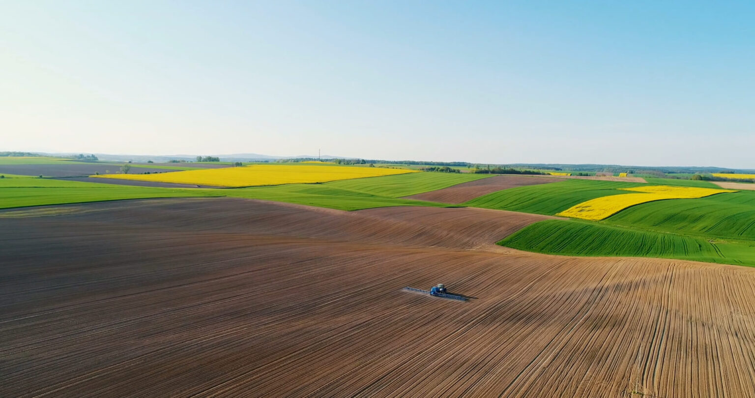 Crop Diversification and New Varieties - Sowing Success