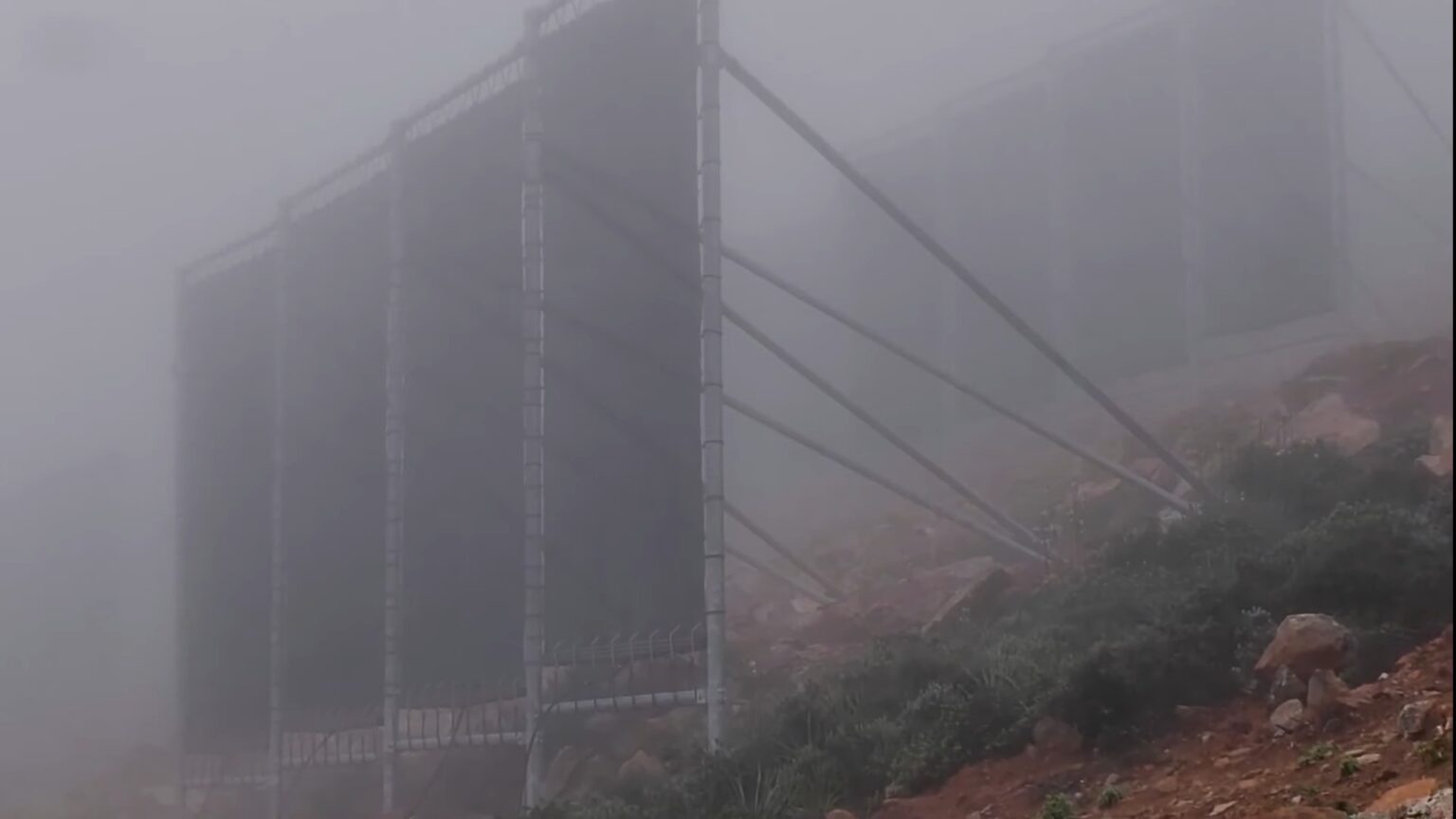 Fog Harvesting - Why Is It Important and How to Pull it off - Climate ...